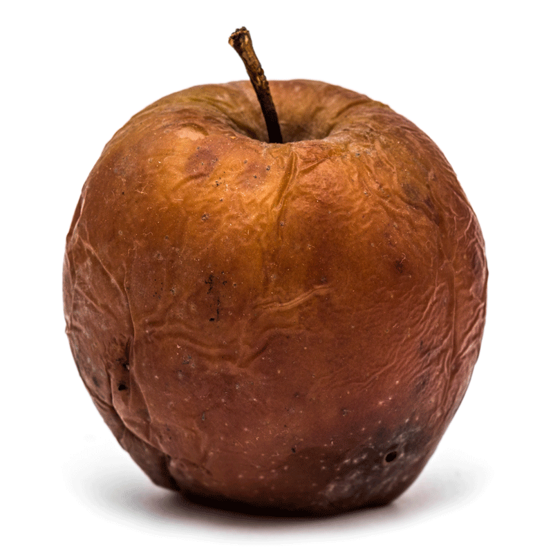 Food waste 101: understand the landscape – Supply Chain Solutions Center