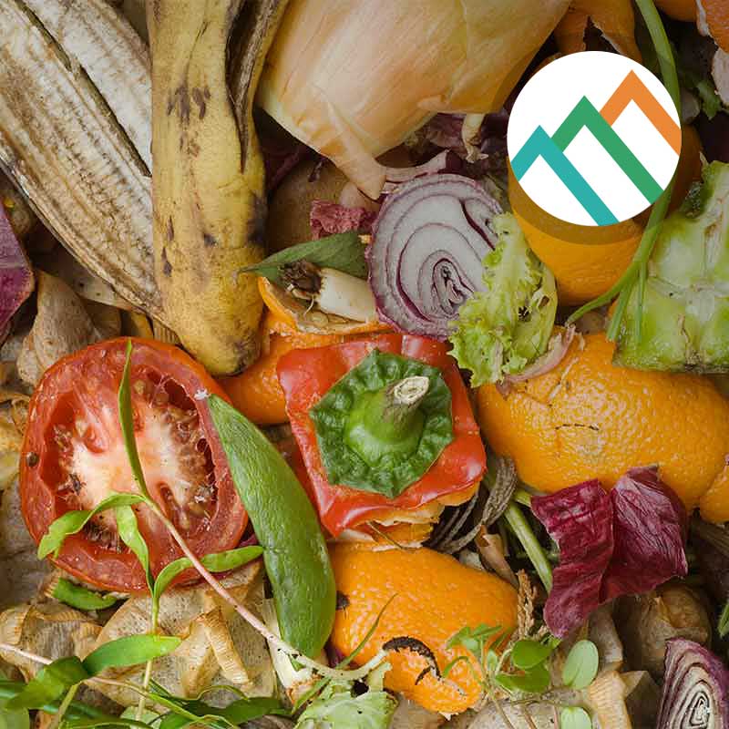 Consumer food waste: solutions – Supply Chain Solutions Center