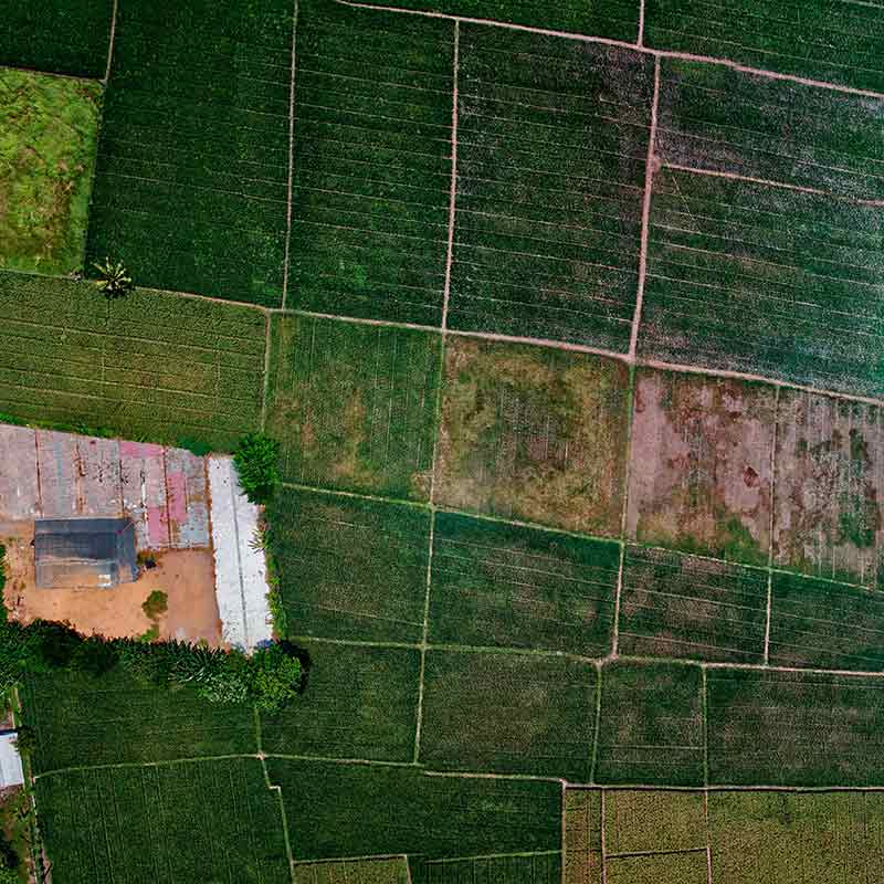 Identify pilot projects: agriculture – Supply Chain Solutions Center