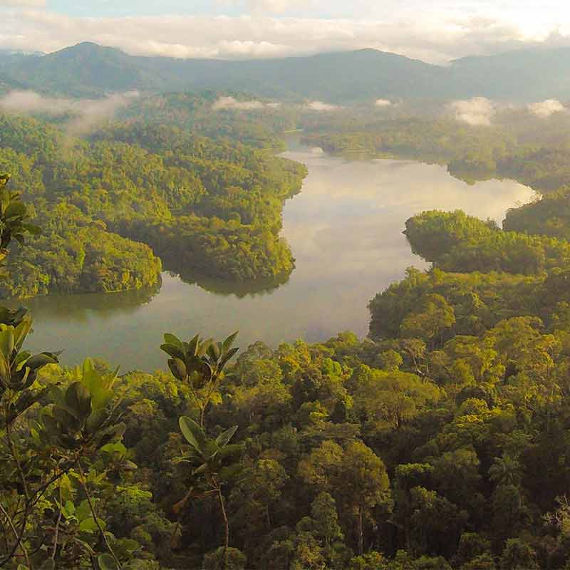 Global Forest Watch (GFW) - Supply Chain Solutions Center