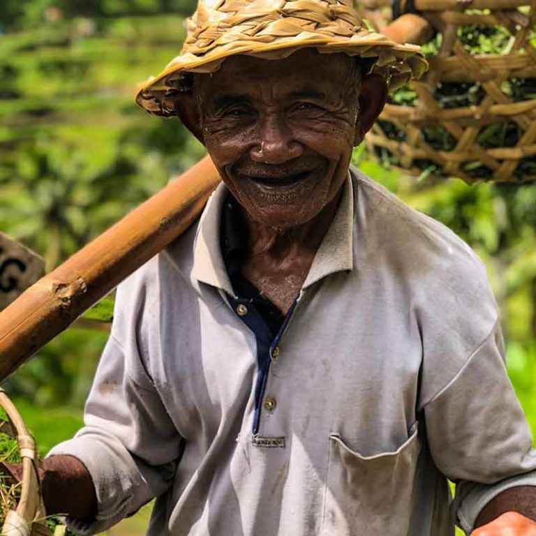 TSC Coffee Supply Chain Diagram - Supply Chain Solutions Center